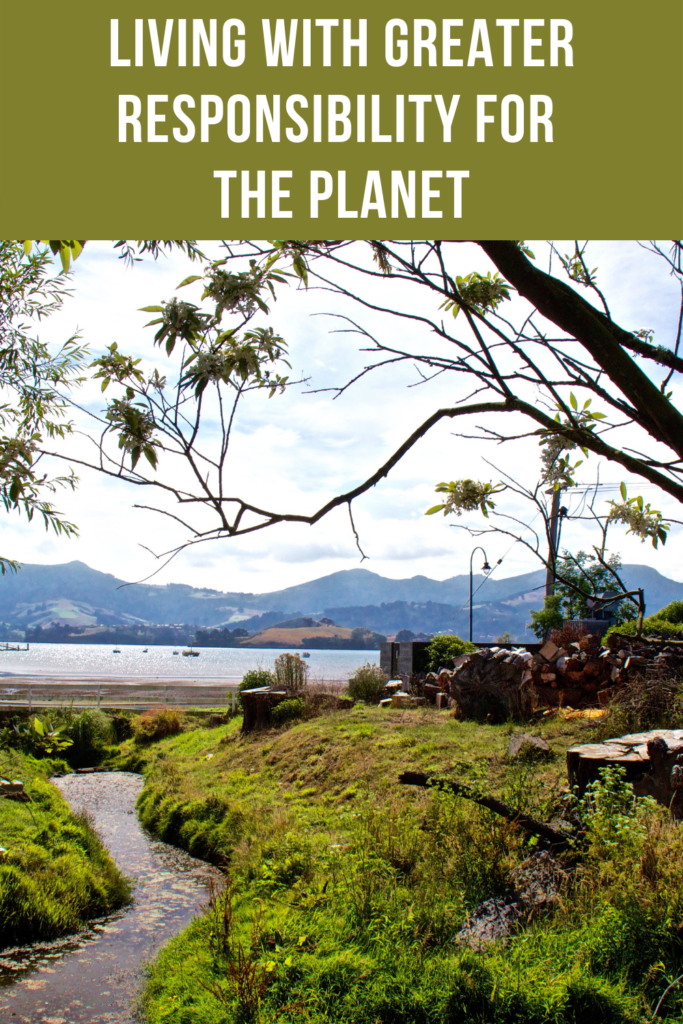 Living With Greater Responsibility For The Planet – Moments With Mandi