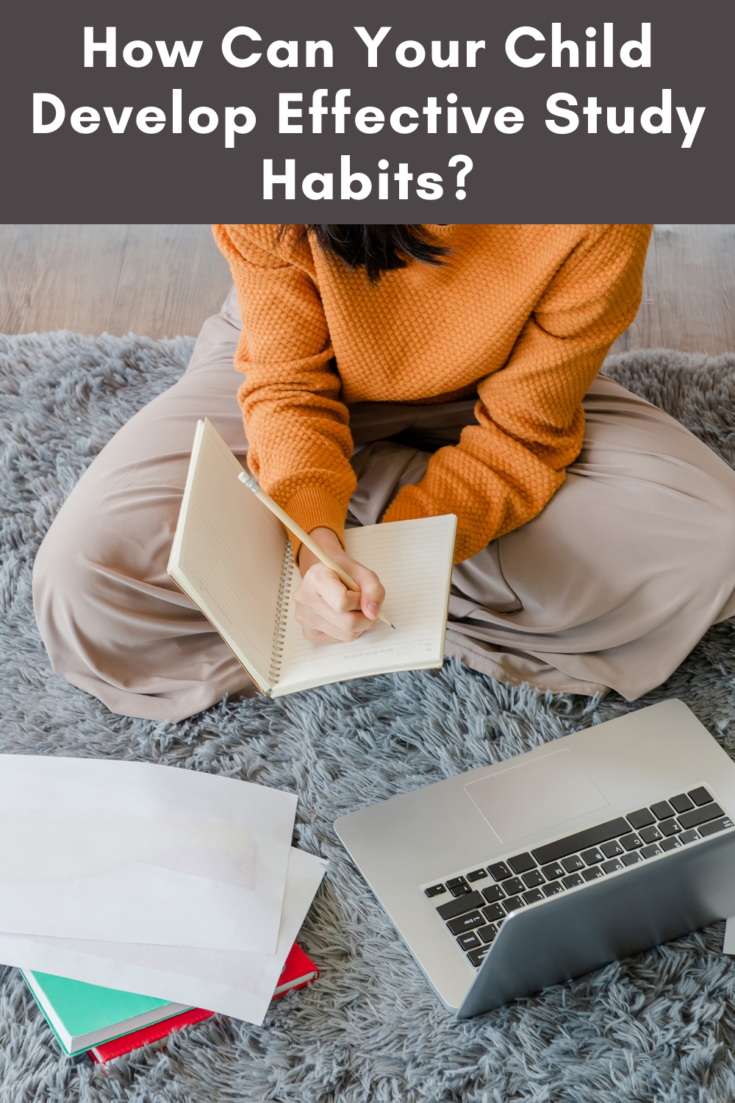 How Can Your Child Develop Effective Study Habits? – Moments With Mandi