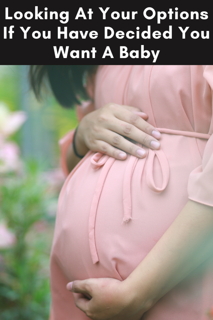 Looking At Your Options If You Have Decided You Want A Baby – Moments ...