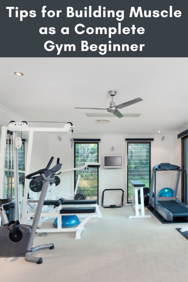 Tips for Building Muscle as a Complete Gym Beginner – Moments With Mandi